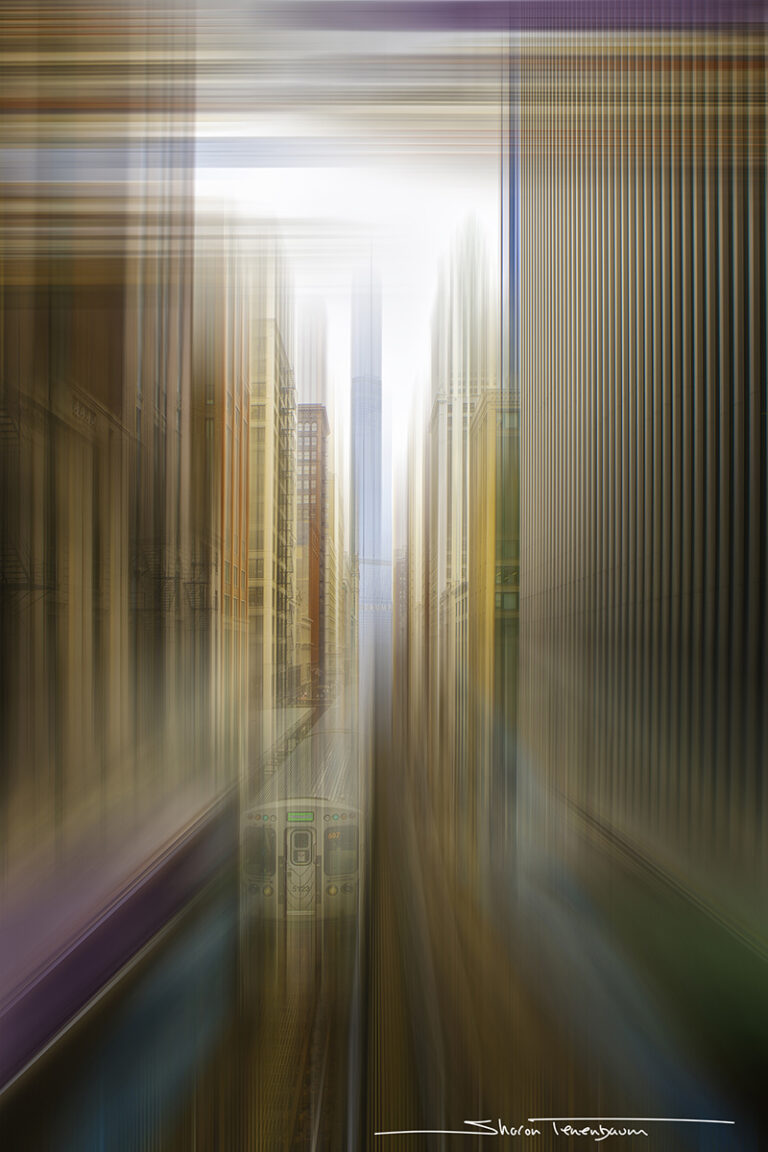 Sharon Tenenbaum, la beauté architecturale sous toutes ses formes